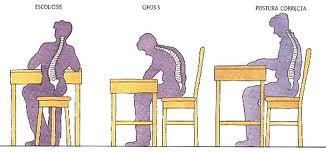 Actividad Física y Hábitos Saludables: POSICIONES CORRECTAS PARA ESTUDIAR