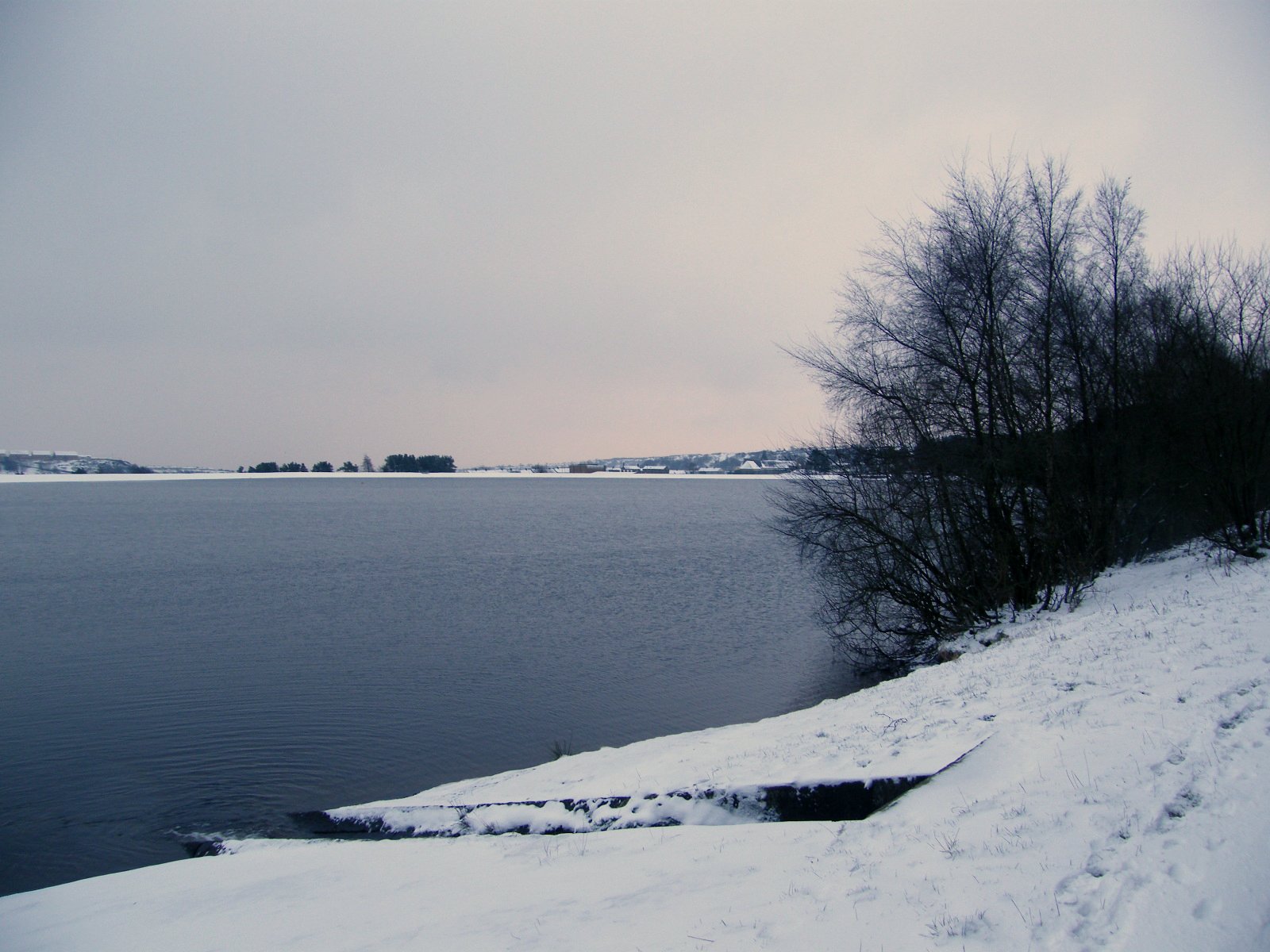 WEST YORKSHIRE BIRDING: Soil Hill/Mixenden reservoir.