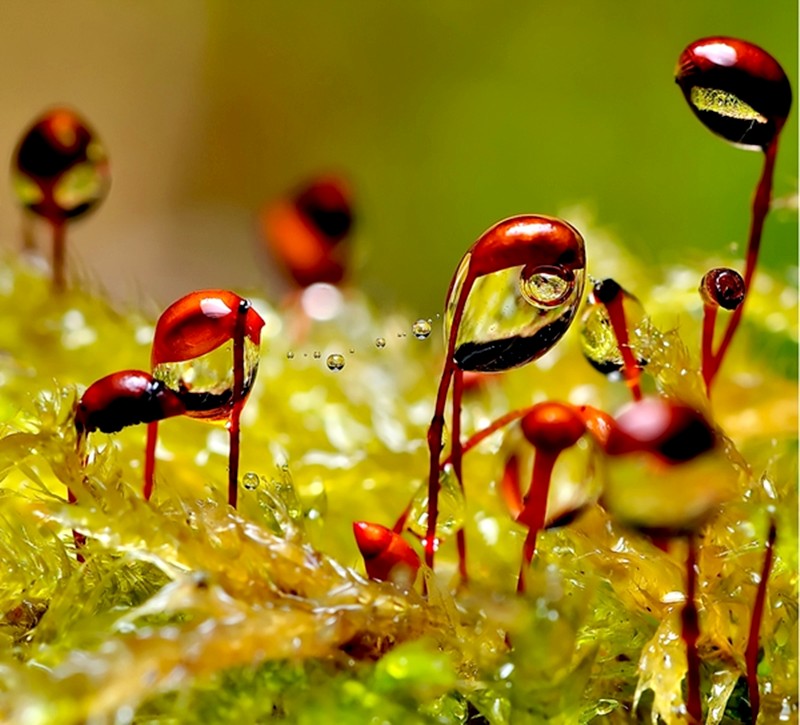 Best WallPapers: Colourful Raindrops Wallpapers