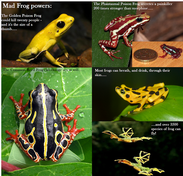 Fast science and (bad)jokes...: Mad frogs, with mad superpowers.....