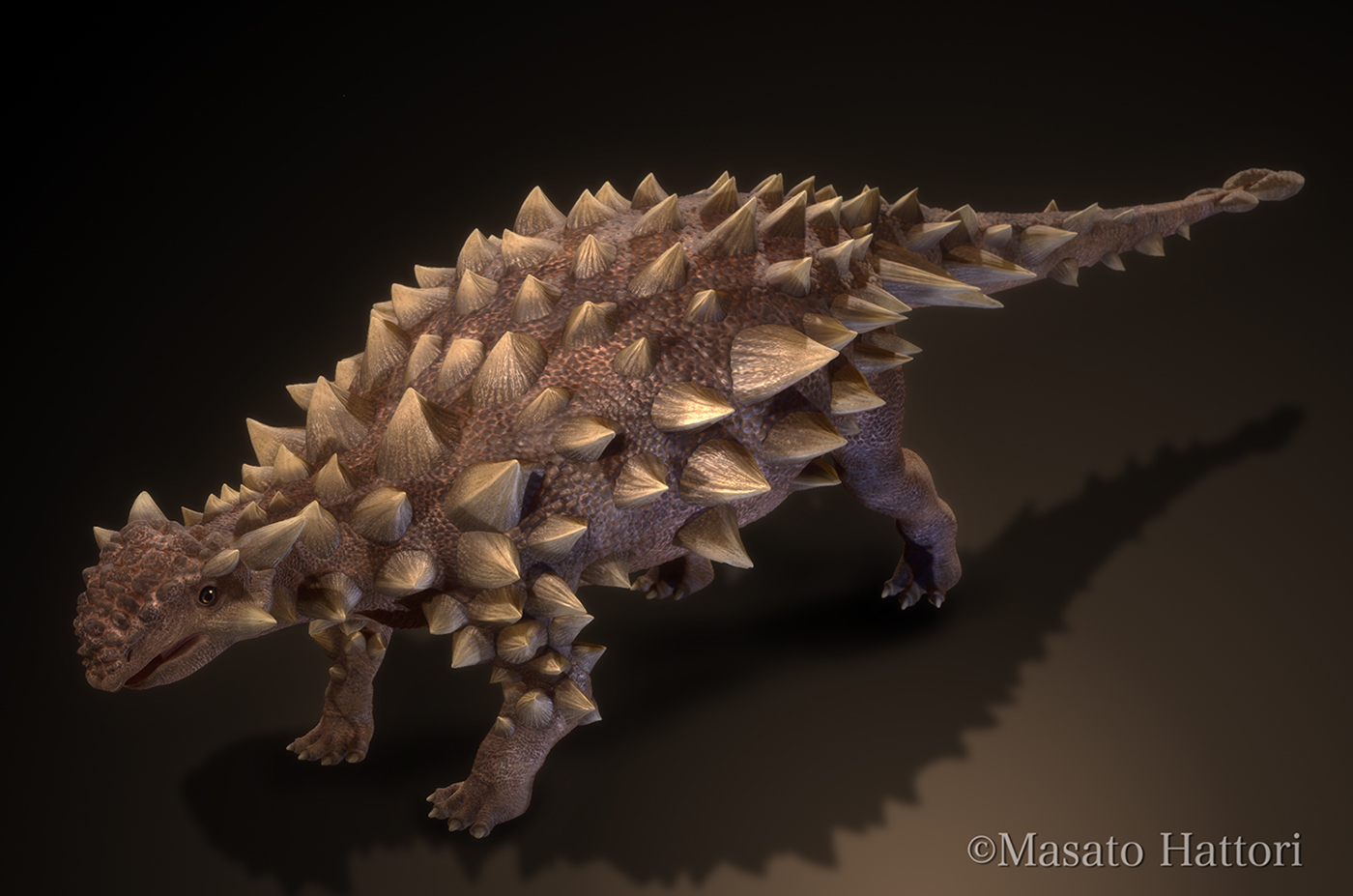 Marchan Blog: サイカニア Saichania