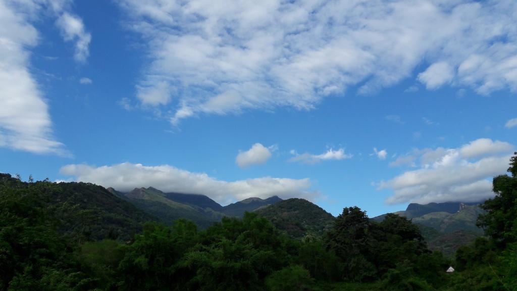 Tamilnadu Tourism: Kalikesam Forest & Waterfalls, Kanyakumari