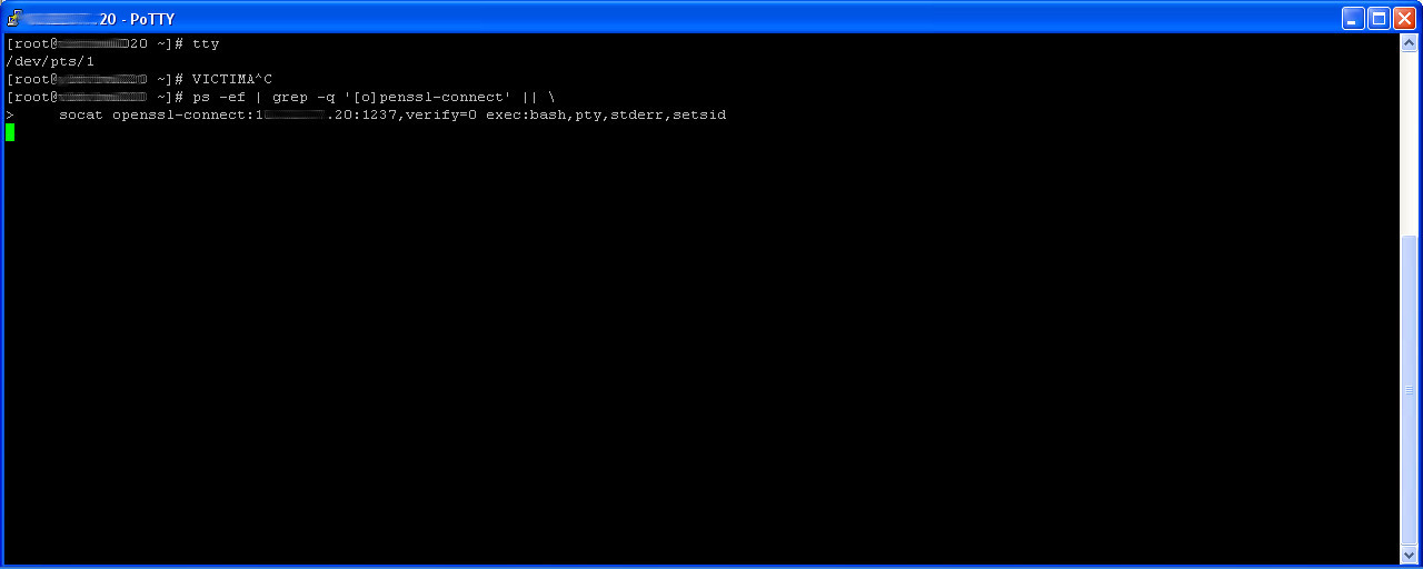 Shell inversa interactiva y cifrada con socat y openssl