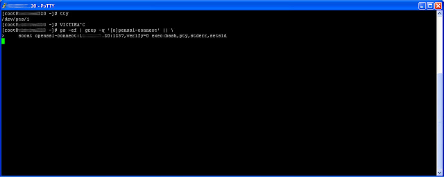 Shell inversa interactiva y cifrada con socat y openssl