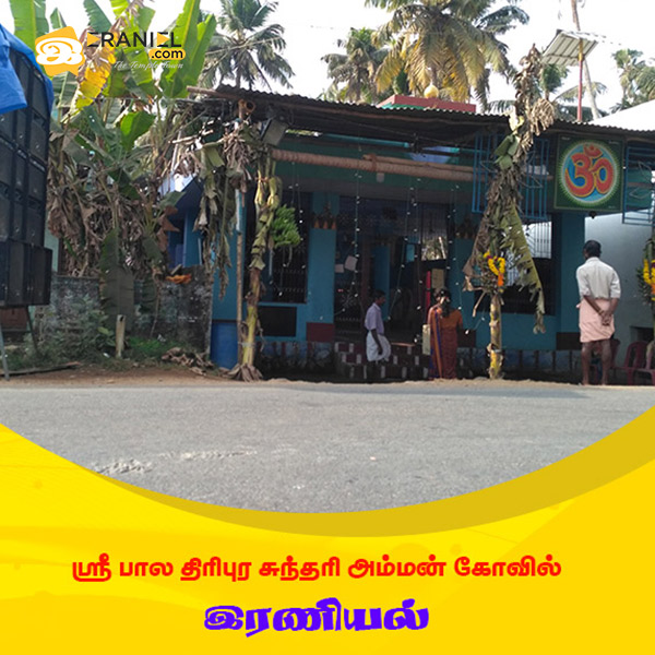 February 2019 ~ Eraniel (The Temple Town)