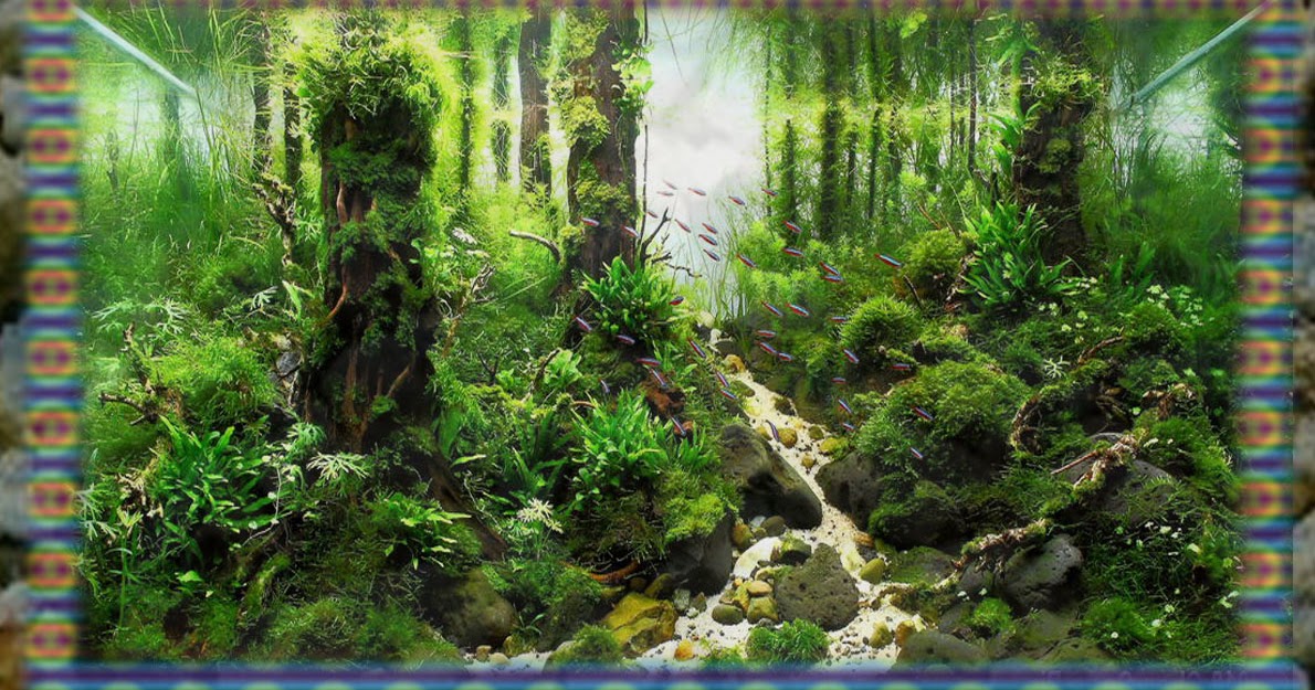 6 Desain Keren Aquascape Tema Hutan | Bagian 1 - Aquascape Design