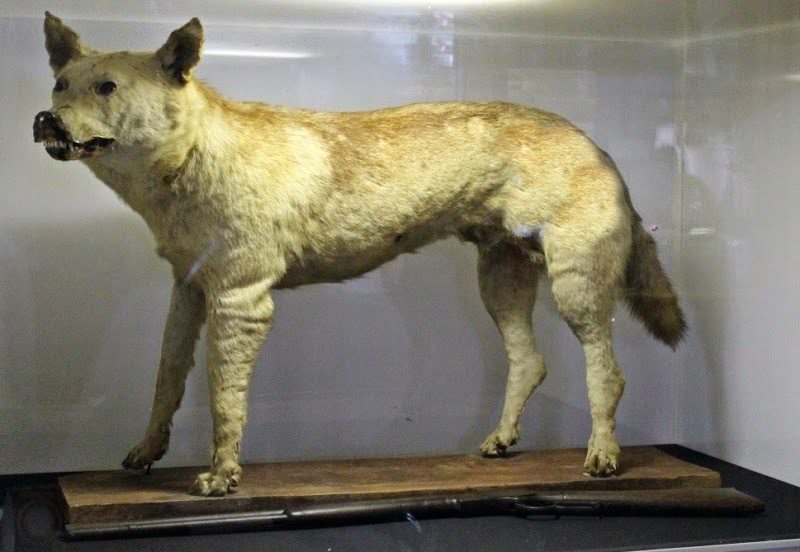 The Haunts Of Adelaide: History, Mystery and the Paranormal: The ...