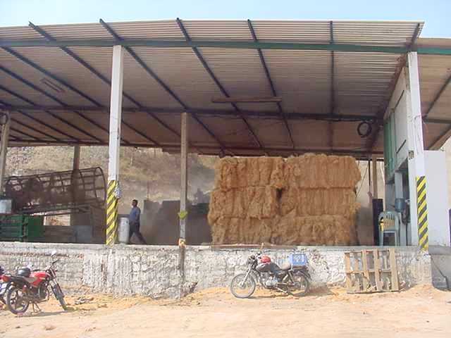 Sparks Mexico: Coconut husk processing