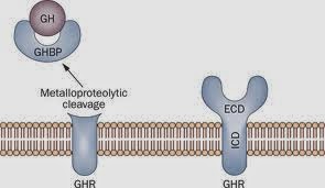 CRIANÇA CRESCER ESPERANÇA Dr.João Santos Caio Jr et Dra Henriqueta V.Caio