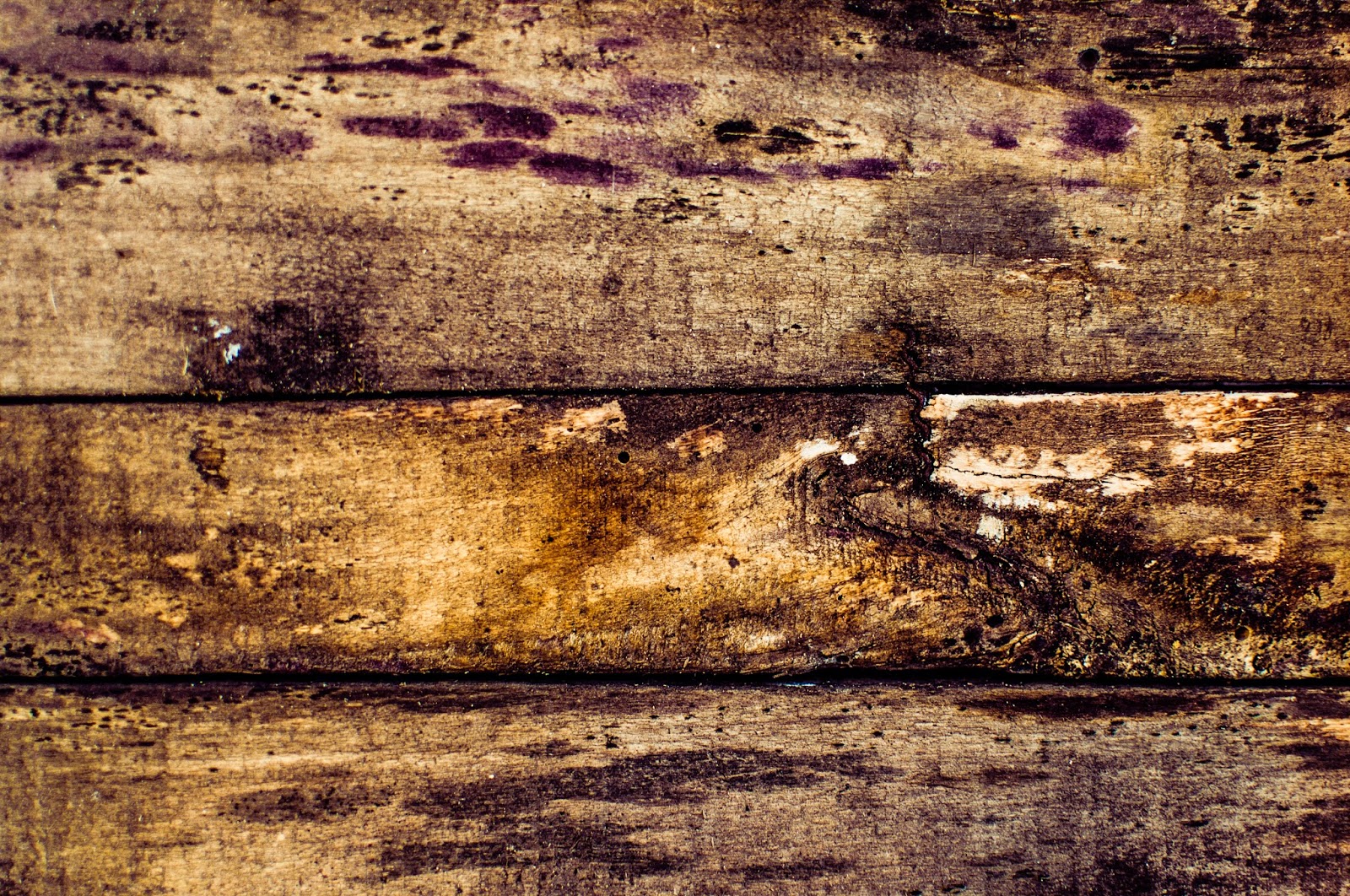 The Texture Archives | free textures for the taking: Rotten Wood Planks