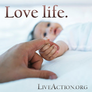 Funny Pictures Gallery: Love life, atmosphere love life lyrics, lyrics ...