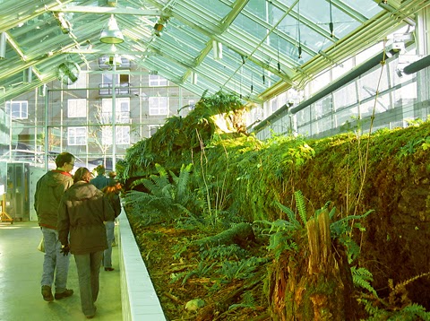 Decomposition: Mark Dion: Neukom Vivarium