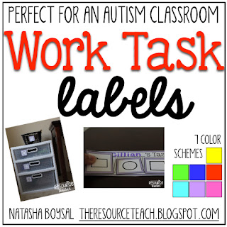 The Resource Teacher: Work Task Labels