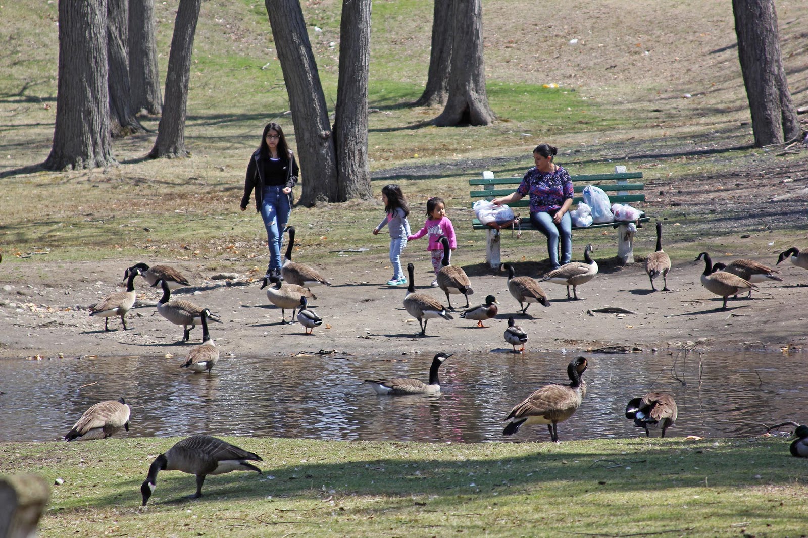 Waterbury Thoughts: Hamilton Park