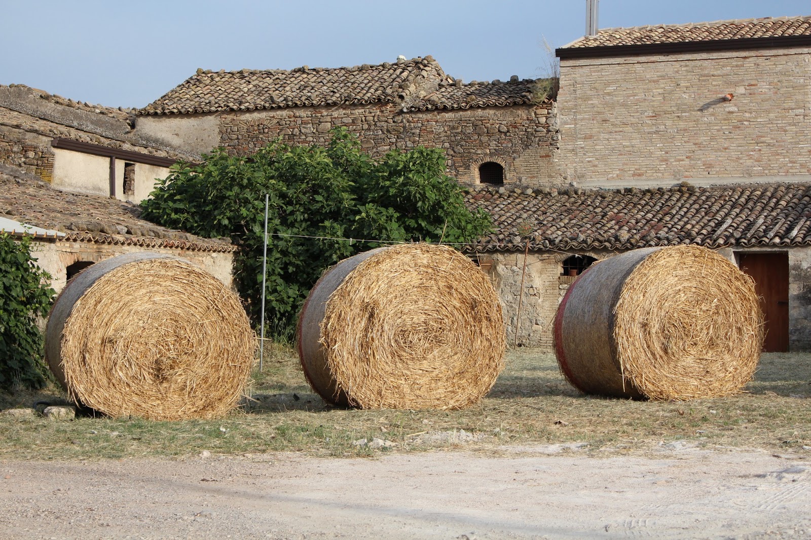 Riflessi: Tertiveri e Irene, la Masseria