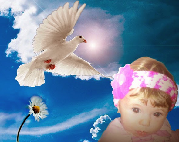 jdasfotovideo: Un angel caido del cielo.