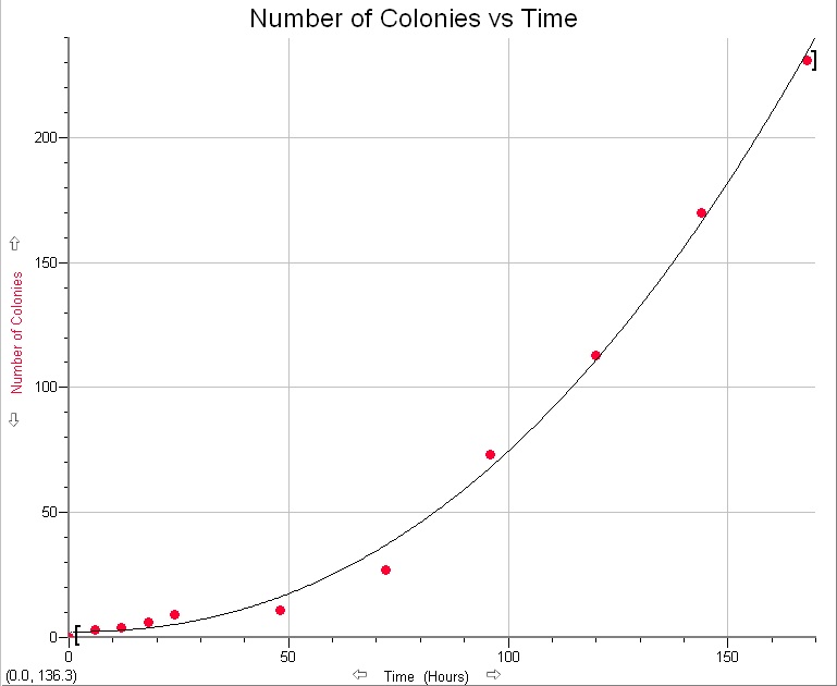 The Bacteria Growth Experiment: The Bacterial Growth Graphs!