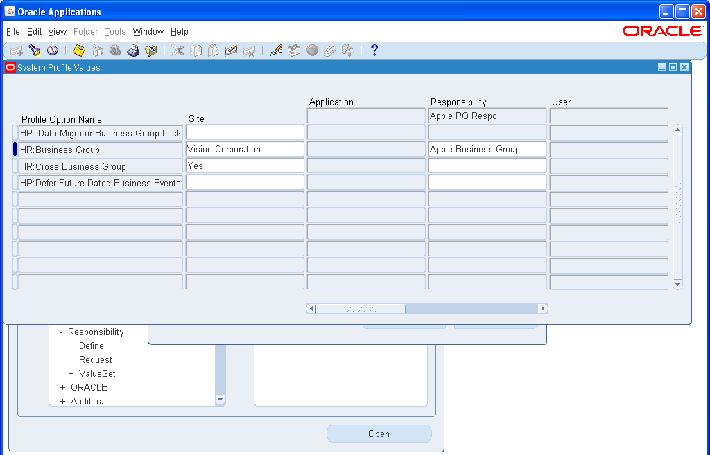 Oracle E-Business Suite R12 Financials: Defining Multi Organization
