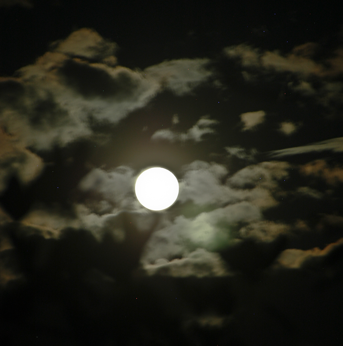 A glorious full moon