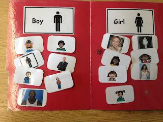 Autism Tank: Boy vs. Girl Sort