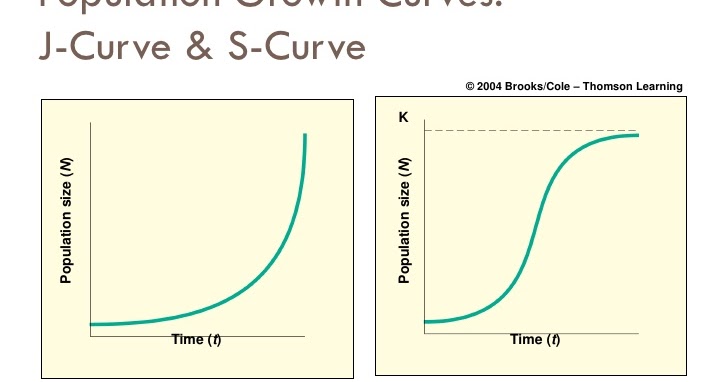 Industrial Engineering Topic J Curve Vs S Curve