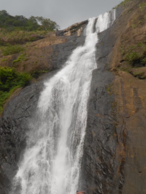 Palaruvi Water Falls