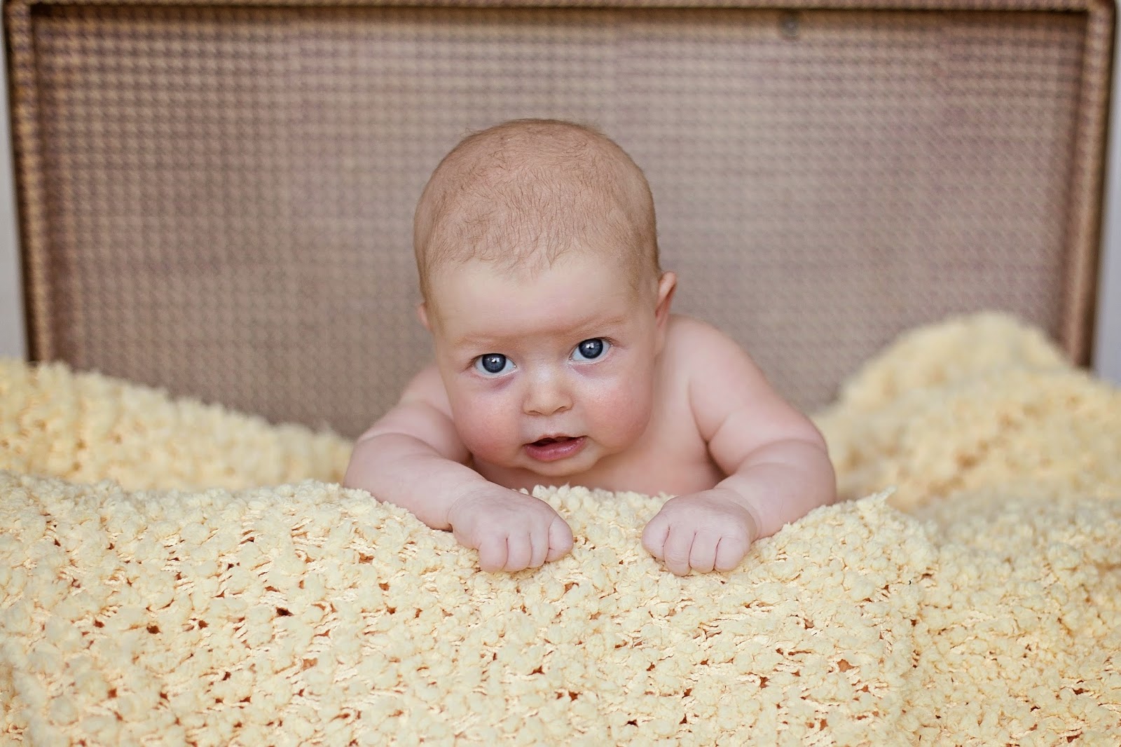 Delightful Daughters - Liesch Family Session - Emma Macdonald Photography