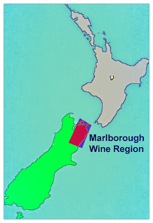 Wine of the Week: Two Stunners from New Zealand