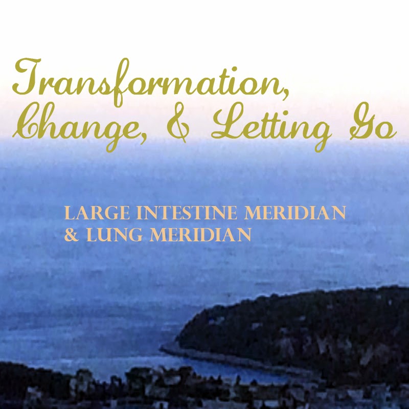 Yoga Fuzion: ~Metal Element: Large Intestine & Lung Meridian~