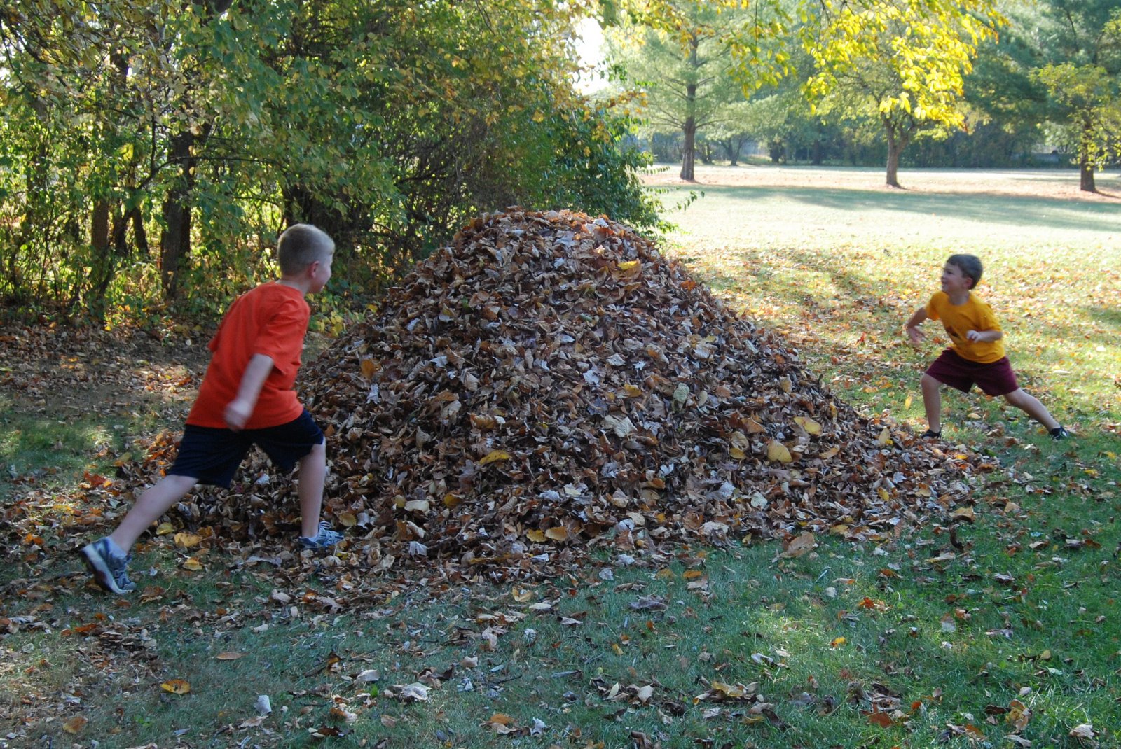 a blonde and 3 boys: Biggest Leaf Pile..EVER!