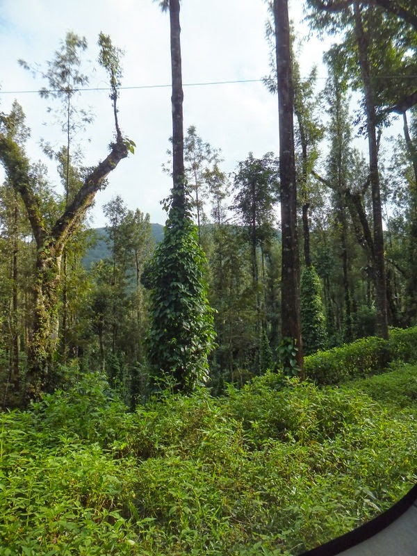 My Views: A temple Tour - 1 Horanadu, Sringeri, Kalas,Udupi, Kukke ...