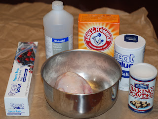 School of Monkeys: Chicken Mummy - Living History Lessons