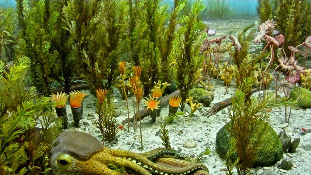 Diorama del periodo Ordovícico. Bajo el mar | Bajo el mar, Diorama, Mar