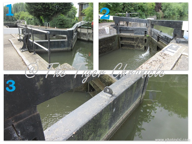 The Tiger Chronicle: Pick a Lock