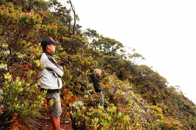 Gunung Masurai - Merangin - Jambi
