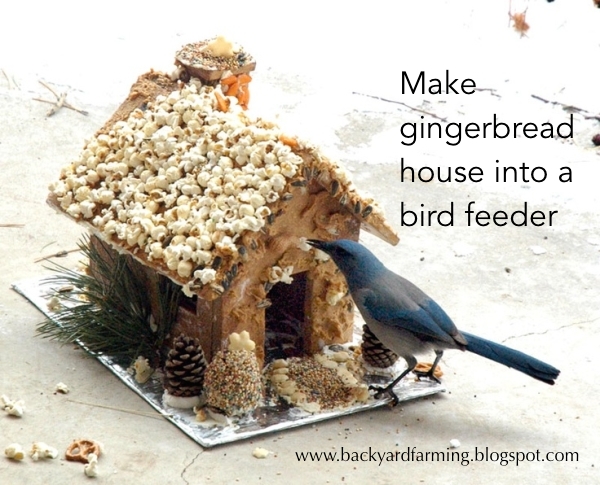 Backyard Farming: Decorate gingerbread house as a bird feeder