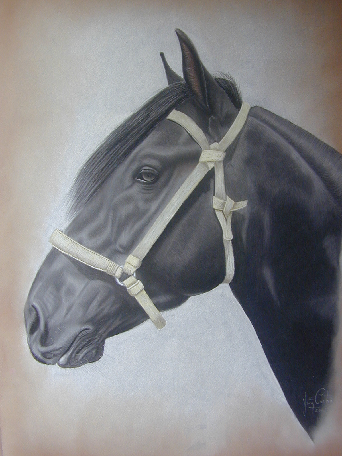 Arte Austral... Juan Carlos Castro: Caballo Chileno