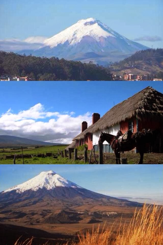 Gastronomía Ecuatoriana: Gastronomía De La Región Sierra.