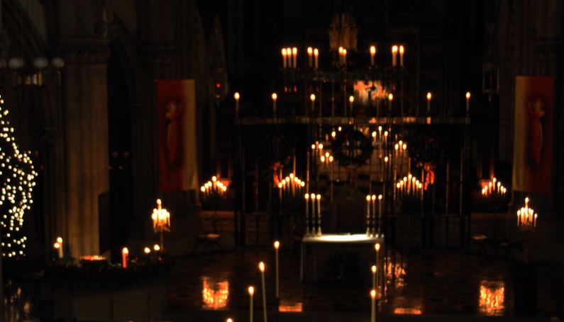 The Cathedral Parish of St Peter and St Thomas More: Friday Photos of ...