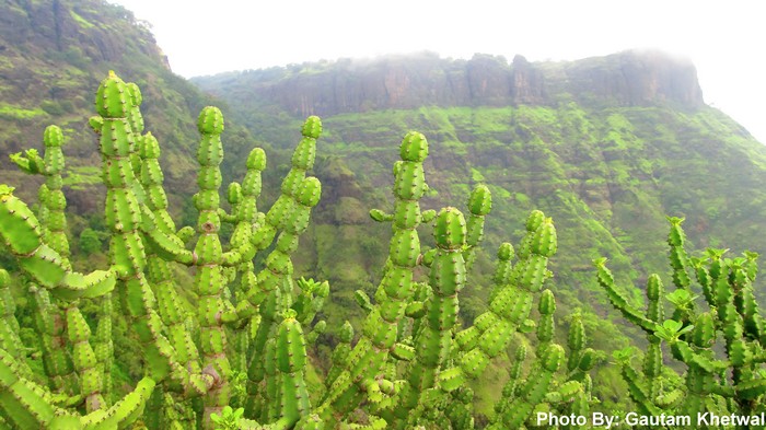 Treks around Thane and Mumbai: Mahuli Fort Trek