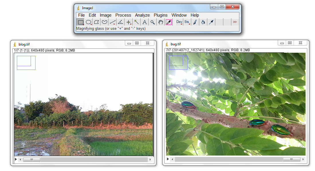 My imageJ: เมนู Image with ImageJ [ตอนที่ 34] Stacks tools, จัดการต่อ stack ด้วย Concatenate