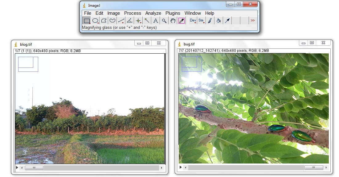 My imageJ: เมนู Image with ImageJ [ตอนที่ 34] Stacks tools, จัดการต่อ stack ด้วย Concatenate