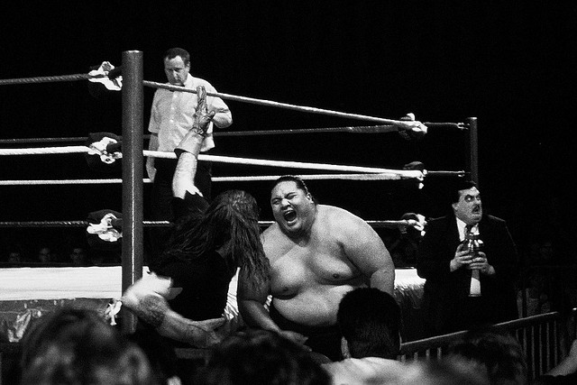 WORLD WRESTLING ENTERTAINMENT: American Professional Wrestler,Yokozuna