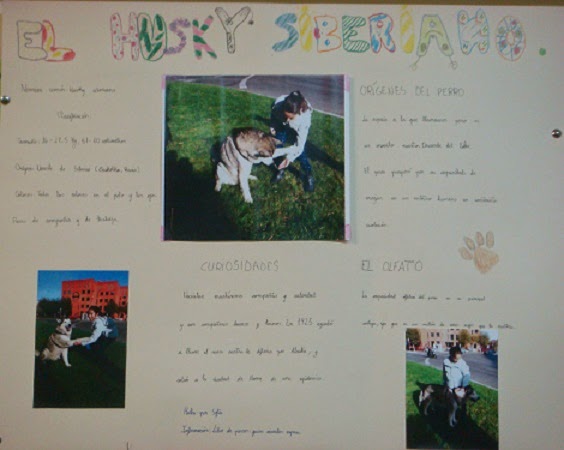 UN MUNDO POR DESCUBRIR P5 2014/15: Investigamos plantas y animales