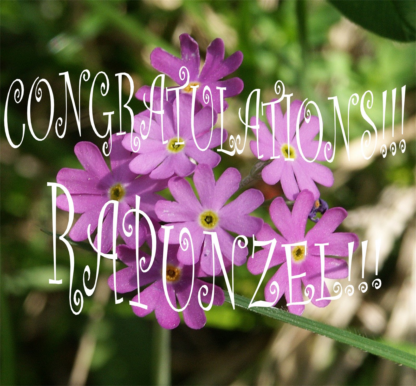 My little world: Congratulations Rapunzel!