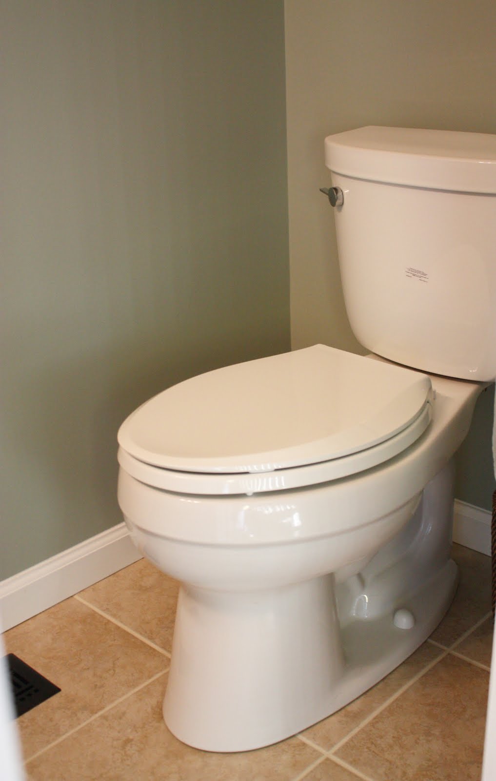 The Red Chair Blog: Remodeling? Buy This Toilet!