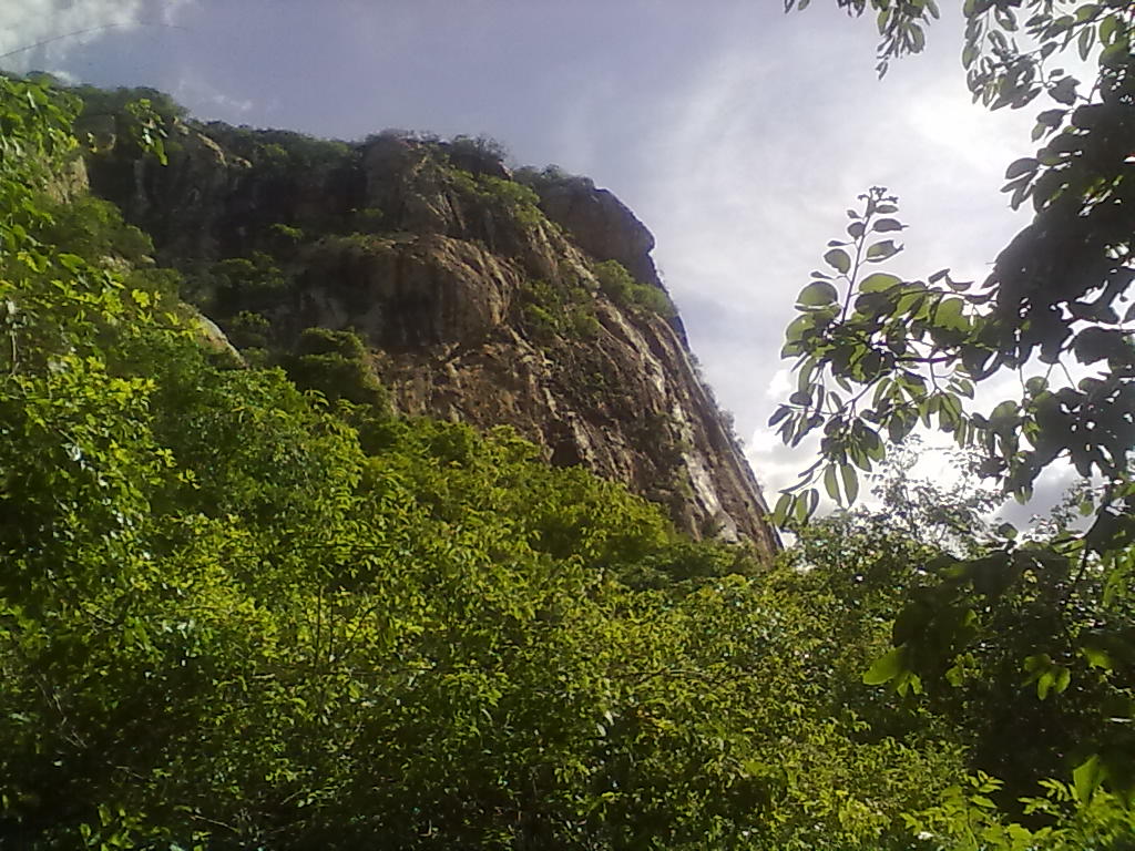 Trilheiros da Serra: TRILHA ATÉ A PEDRA RAJADA - UMA DAS BELEZAS ...