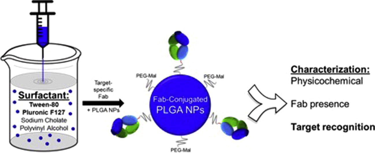 PolySciTech Technical Blog: Fluorescent-PLGA and PLGA-PEG-Mal from ...