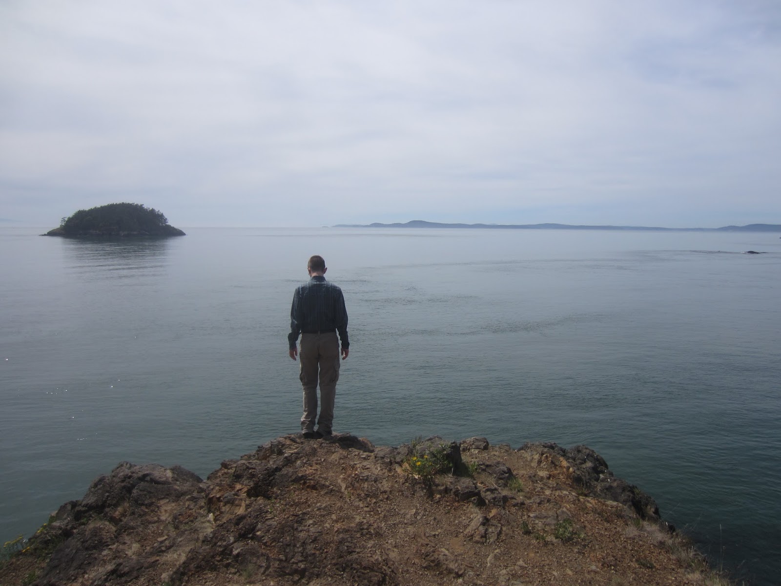 Andrey Solovyev: июня 2016