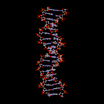BIOconéctate: Teoría de Sutton y Morgan